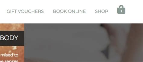 Add WooCommerce Cart Icon To Menu With Cart Item Count WP Beaches