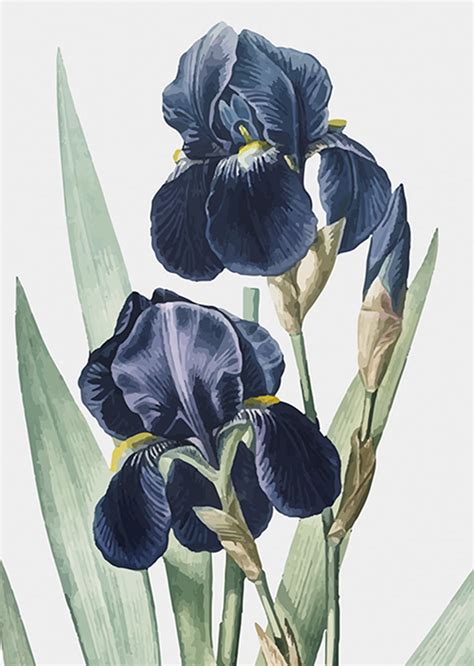 Quadro Retangular Flores Azuis Liê Decor