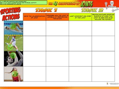 New Gcse Pe Unit 1 Topic 1 Lesson 3 Joint Classification And Movement Main Activity