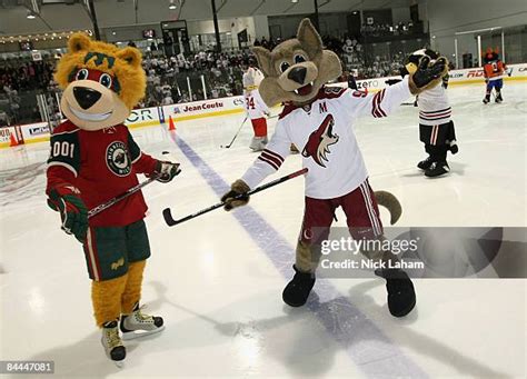 170 Mascot Nordy Photos And High Res Pictures Getty Images
