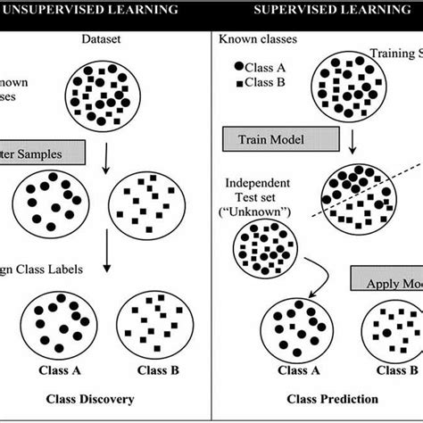 Schematic Illustration Of Unsupervised And Supervised Learning Adapted Download Scientific