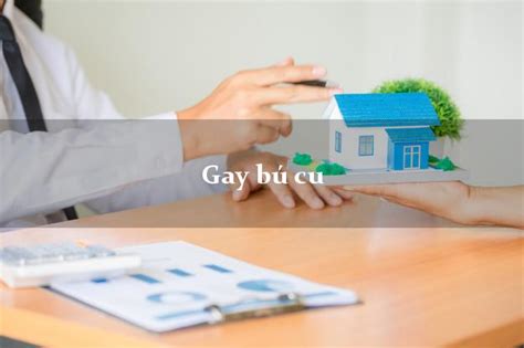 Gay bú cu