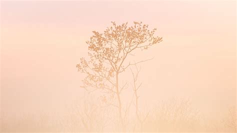 Фон для презентации нейтральный красивый 60 фото