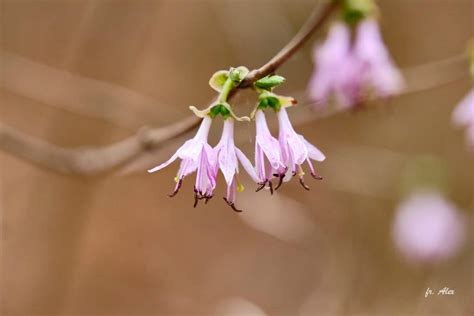 성공회 아침기도 정의의 하느님 이 땅에 당신의 정의와 공평을 내리소서 특별히 이 땅의 지도자들과 위정자들을 위해 기도합니다 저들의 소명이 가난한 이를 돌보고 이