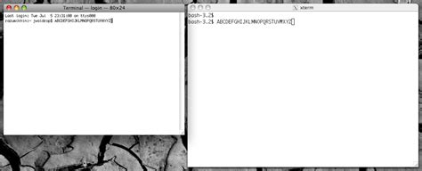 Macos Why Do Fonts In Xterm Seem Too Big In Os X Super User