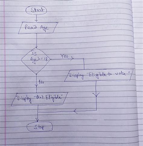 Draw A Flowchart To Accept The Age Of A Person Display The Message