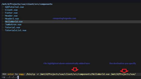 Broot Easy Way To See And Navigate Directory Trees In Linux Computingforgeeks