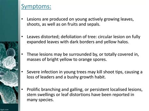 A Brief About Guava Rust PPTX