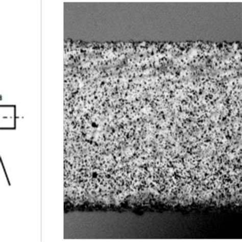 A D I C Layout B Speckle Pattern Used For D I C Download Scientific Diagram