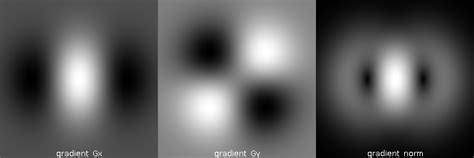 crazybiocomputing exploring gradient direction