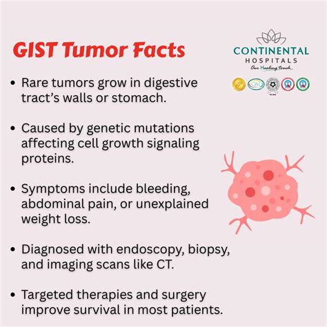 Gist Tumors How Are Gastrointestinal Stromal Tumors Found