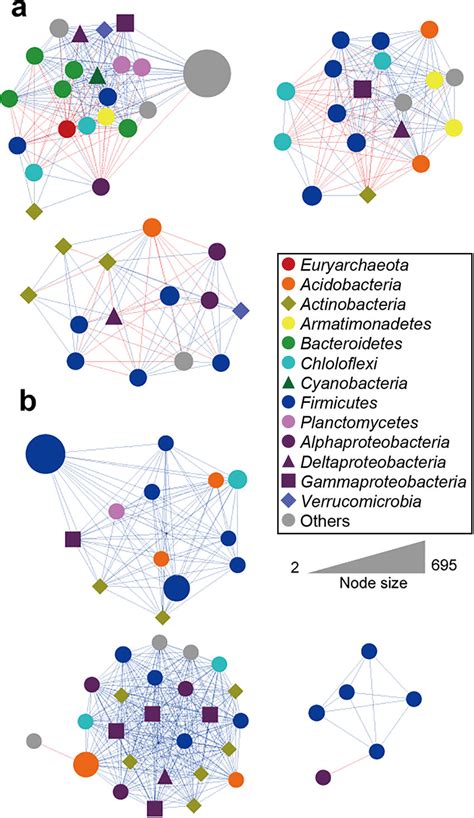 Co Occurrence Networks Based On A Correlation Analysis From Genus Level