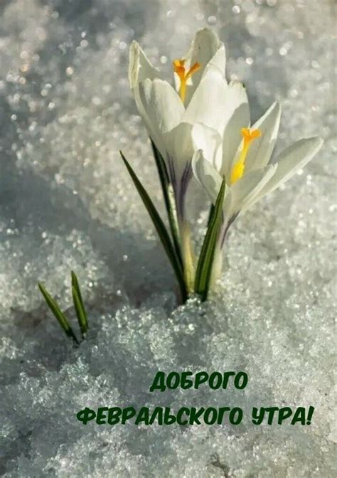 Доброе утро Доброе утро Зима Открытки