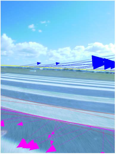 Horizon Detection Algorithm Based On Both Temporal Tracking And The