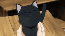 Kawaii Cat S Tenor