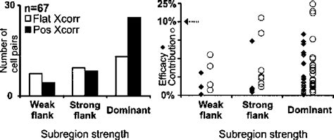 Figure 12 From Rules Of Connectivity Between Geniculate Cells And