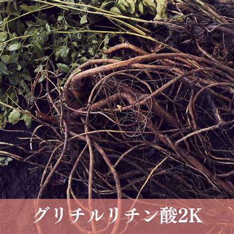 【rubyd Series】シャンプーandコンディショナーセット ～期間限定！紅の夢美容液マスク1袋プレゼント中！～ ラビプレショップ