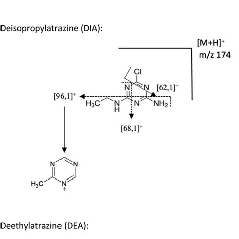 Ms Fragmentation Precursor Ion For Each Metabolites Download