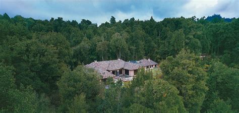 Treetops Lodge And Estate Rotorua Review The Hotel Guru