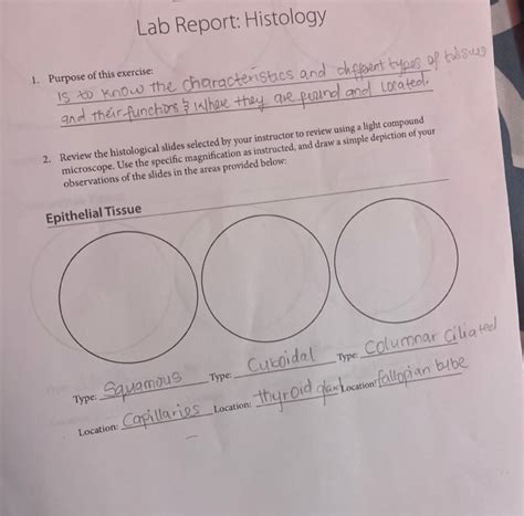 Solved Lab Report Histology Purpose Of This Exercise Is Chegg