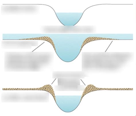 Floodplain Diagram