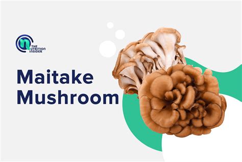 Maitake Mushroom Benefits Risks And Nutrition