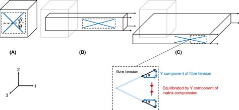 Figure 2 From A New Anisotropic Soft Tissue Model For Elimination Of Unphysical Auxetic