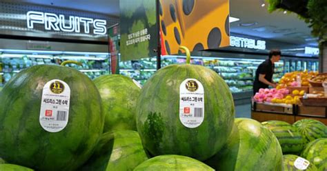 롯데마트 씨 적은 수박 등 신품종 수박 출시