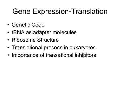 Solution Genetic Code And Translation Bsc3 2020 Studypool