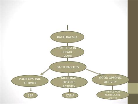 Evaluation Of Ascites Ppt