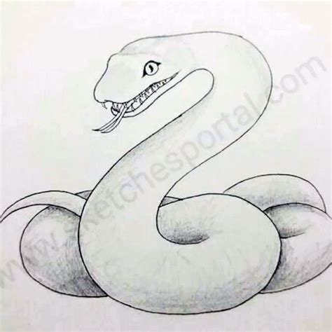 Snake Drawing How To Draw A Snake Head Drawingnow Free For Commercial Use No Attribution