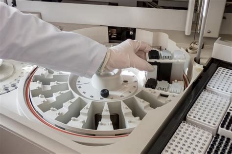 Una Molécula Del Veneno De Abeja Elimina Células De Cáncer De Mama Agresivo