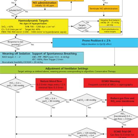 The Re Evaluation Algorithm For Patients With Acute Respiratory