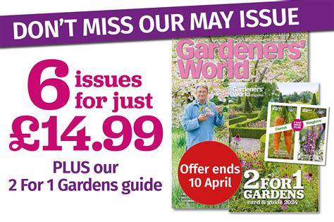 Hosta 'Love Pat' | BBC Gardeners World Magazine