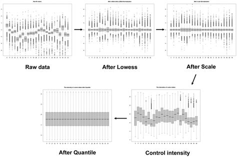 Boxplots Of M Values Showing Data Distribution During The Normalization