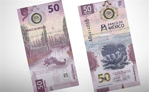 Diseño De Billete En México Cada Cuánto Cambian Telediario México