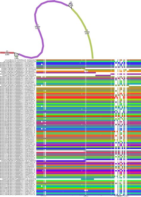 welcome to the odgi documentation — odgi a19163ea documentation