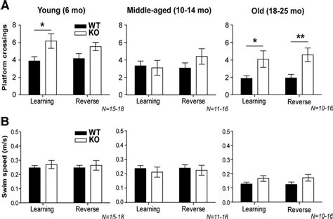 old pdyn mice display intact spatial memory in mwm probe tests a