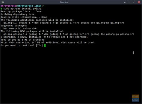 Lets Go Installing The Go Programming Language On Debian