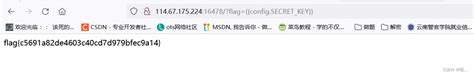 ssti注入——python中的ssti python ssti注入 csdn博客