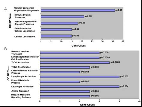Functional Annotation Analysis Of Genes Contained Within The 4