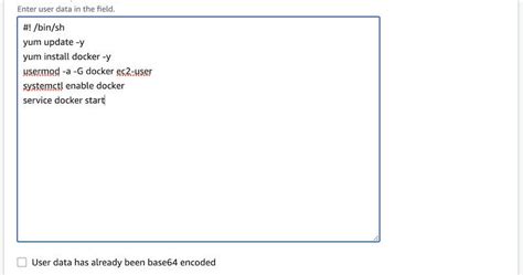 菜鳥工程師 肉豬 aws ec2 instance linux ami 啟動安裝docker