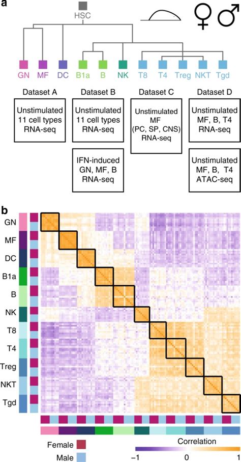 Immgen Report Sexual Dimorphism In The Immune System Transcriptome Pmc