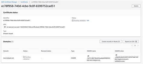 Amazon Web Services What Should I Put In Google Domain Cname Record For Cloud Front