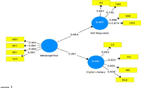 Figure 1 From Metacognitive Contribution To Biology Pre Service Teacher