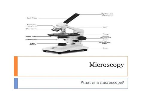 1 Grade 7 Q2 Module 1 Parts And Functions Of The Compound Microscope And Its Manipulation 2nd
