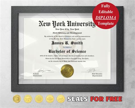 University Degree Template