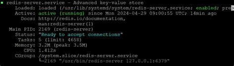 Comment Installer Redis Sur Ubuntu