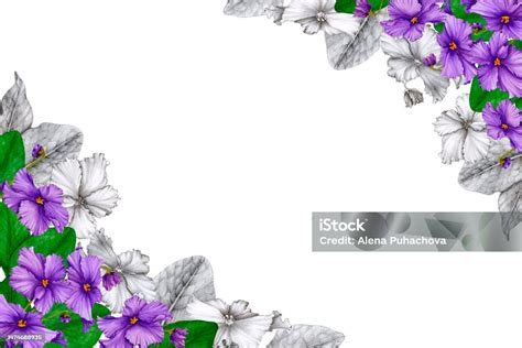 배경 아프리카 제비꽃의 직사각형 꽃 프레임입니다 손으로 그린 수채화와 그래픽 엽서 초대장 인사말 인쇄 로고 라벨을 디자인합니다 발렌타인 데이 결혼식 생일 등 0명에 대한