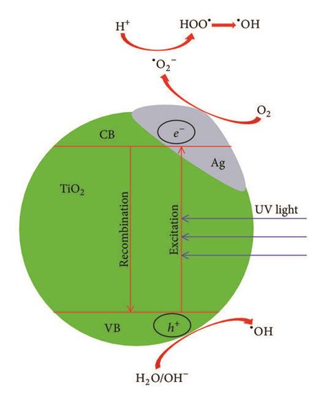Photocatalytic Pathways For The Mb Photodegradation On Agtio2 Particles Download Scientific
